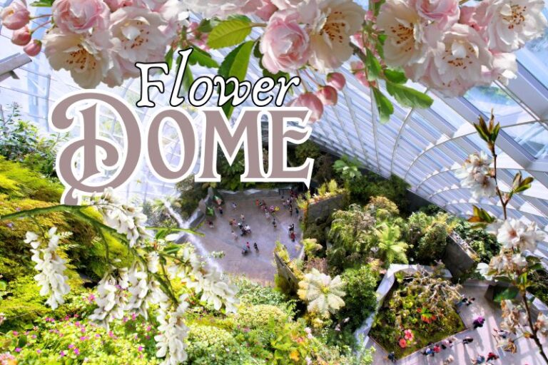 Flower Dome - Everything You Need To Know About Before Visiting ...