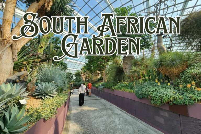 Flower Dome - Everything You Need To Know About Before Visiting ...
