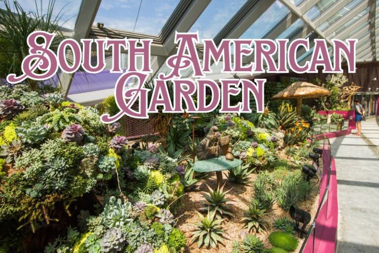 Flower Dome - Everything You Need To Know About Before Visiting ...