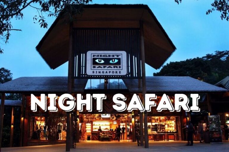 Top 5 Shows and Performances at the Singapore Night Safari - Gardens By ...