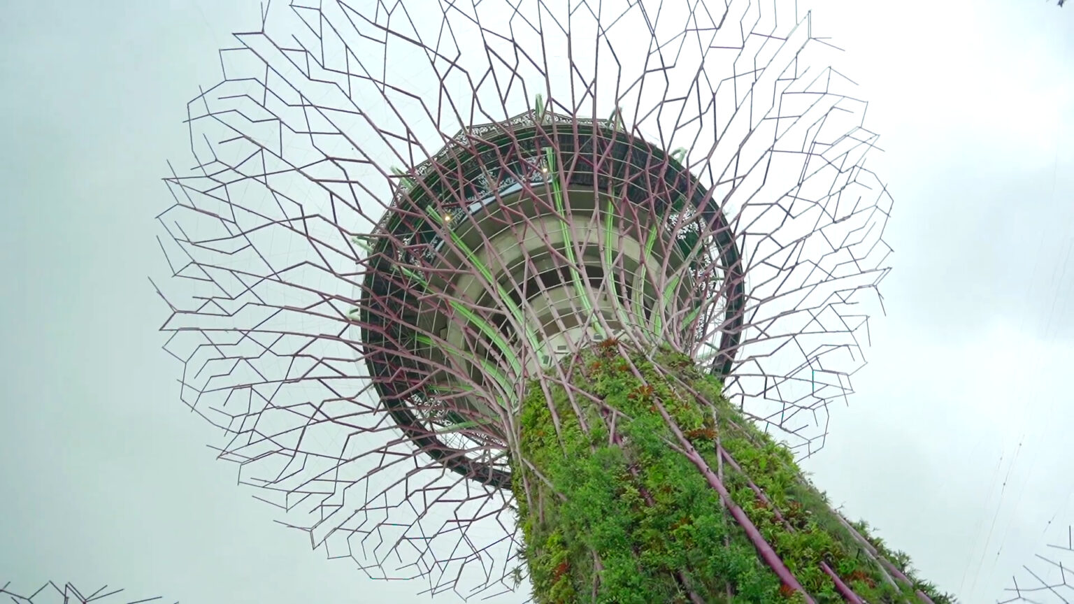 Everything You Need to Know About Supertree Grove - Gardens By The Bay ...