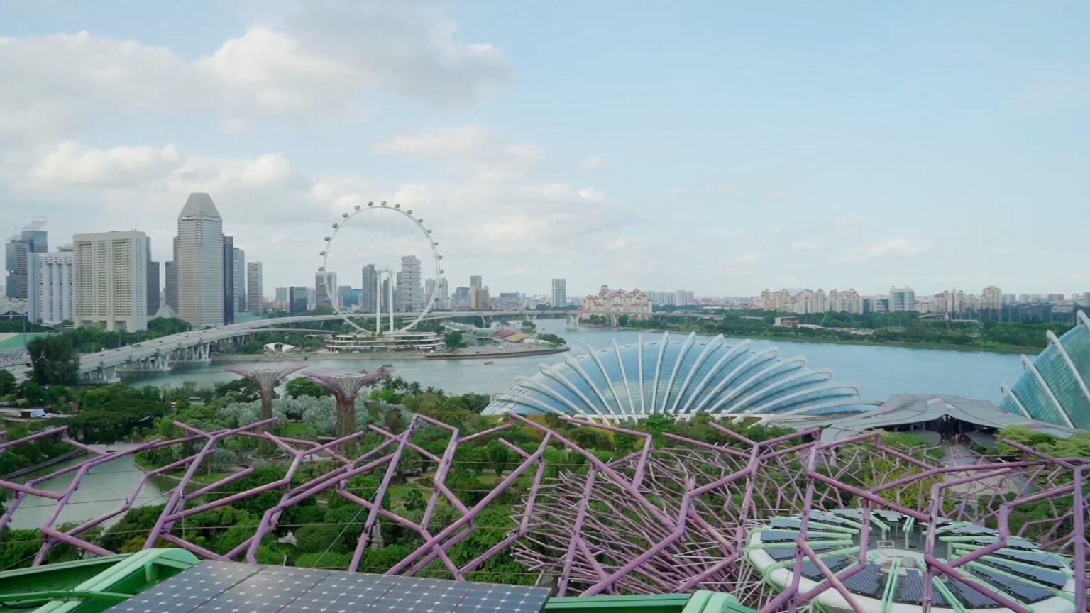 Everything You Need to Know About Supertree Grove - Gardens By The Bay ...