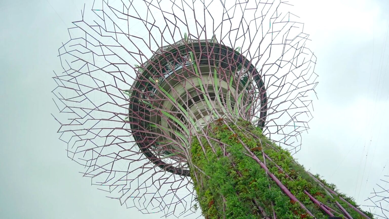 Supertree Observatory - Where Nature and Futuristic Design Meet ...