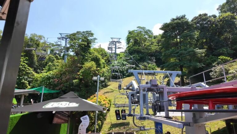 Your Guide to Skyline Luge Sentosa - Tracks, Tickets, and Tips